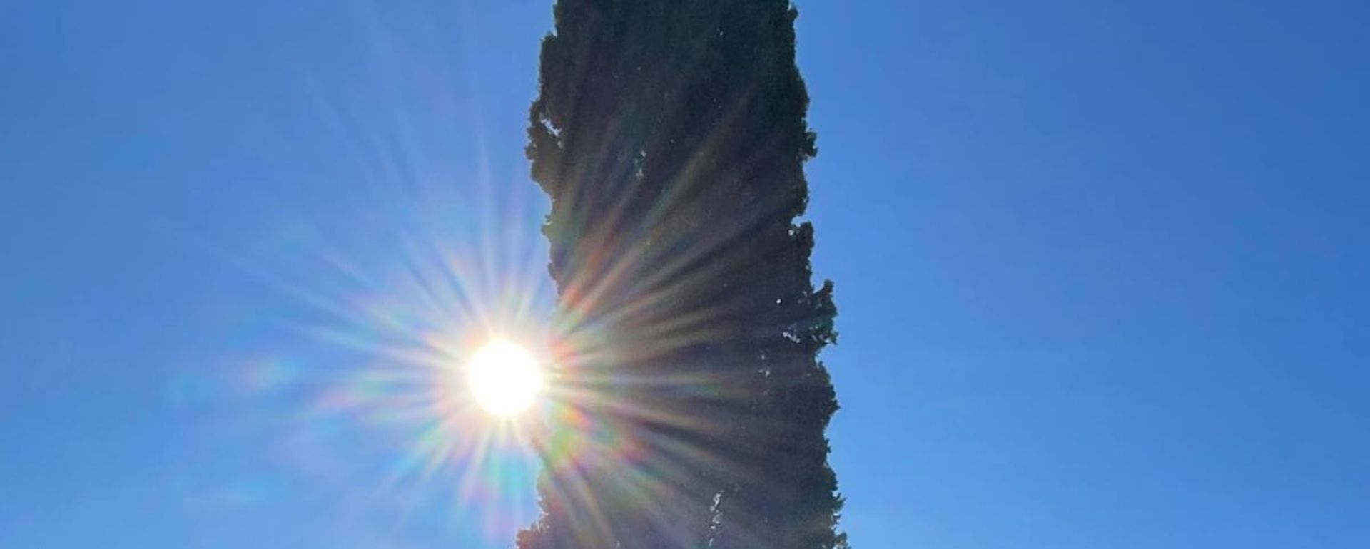 Second Vatican Council: the guiding star of the Church - Catholic ...